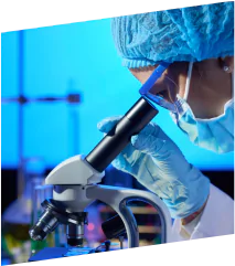 eLearning Solutions - Best eLearning Development Company in USA